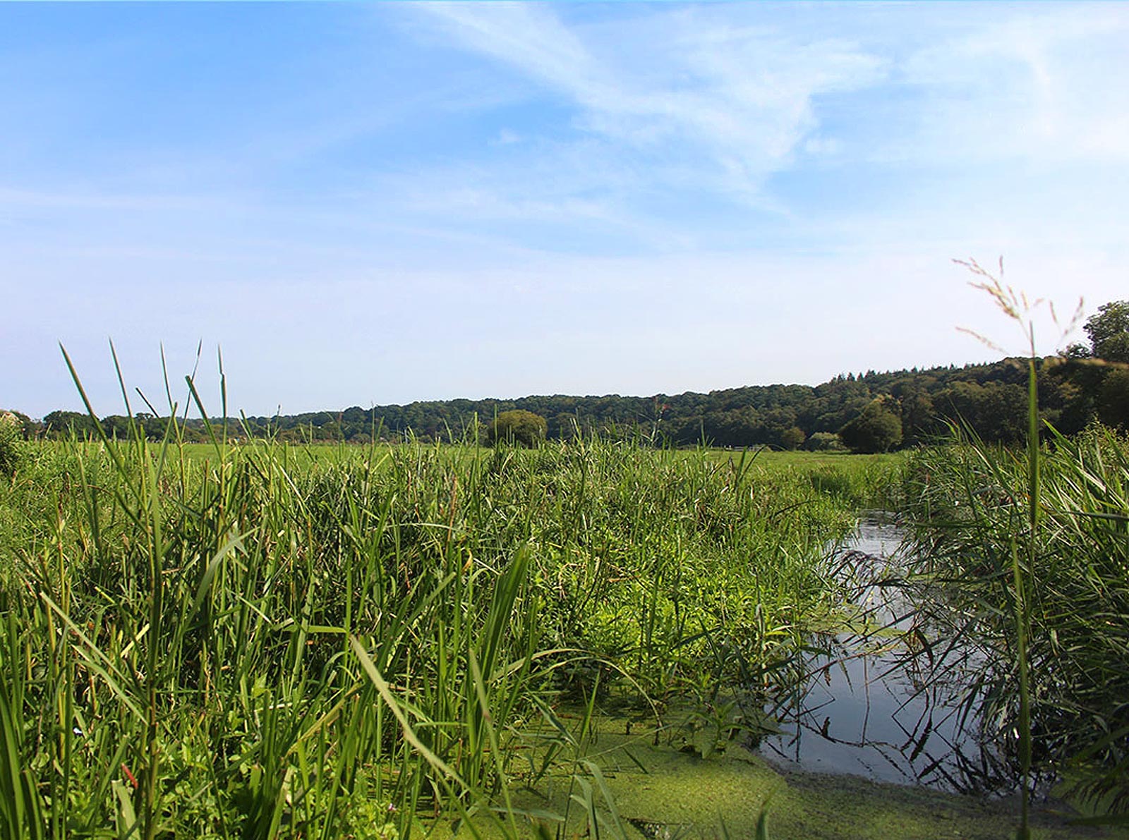 Gallery - Folds Farm