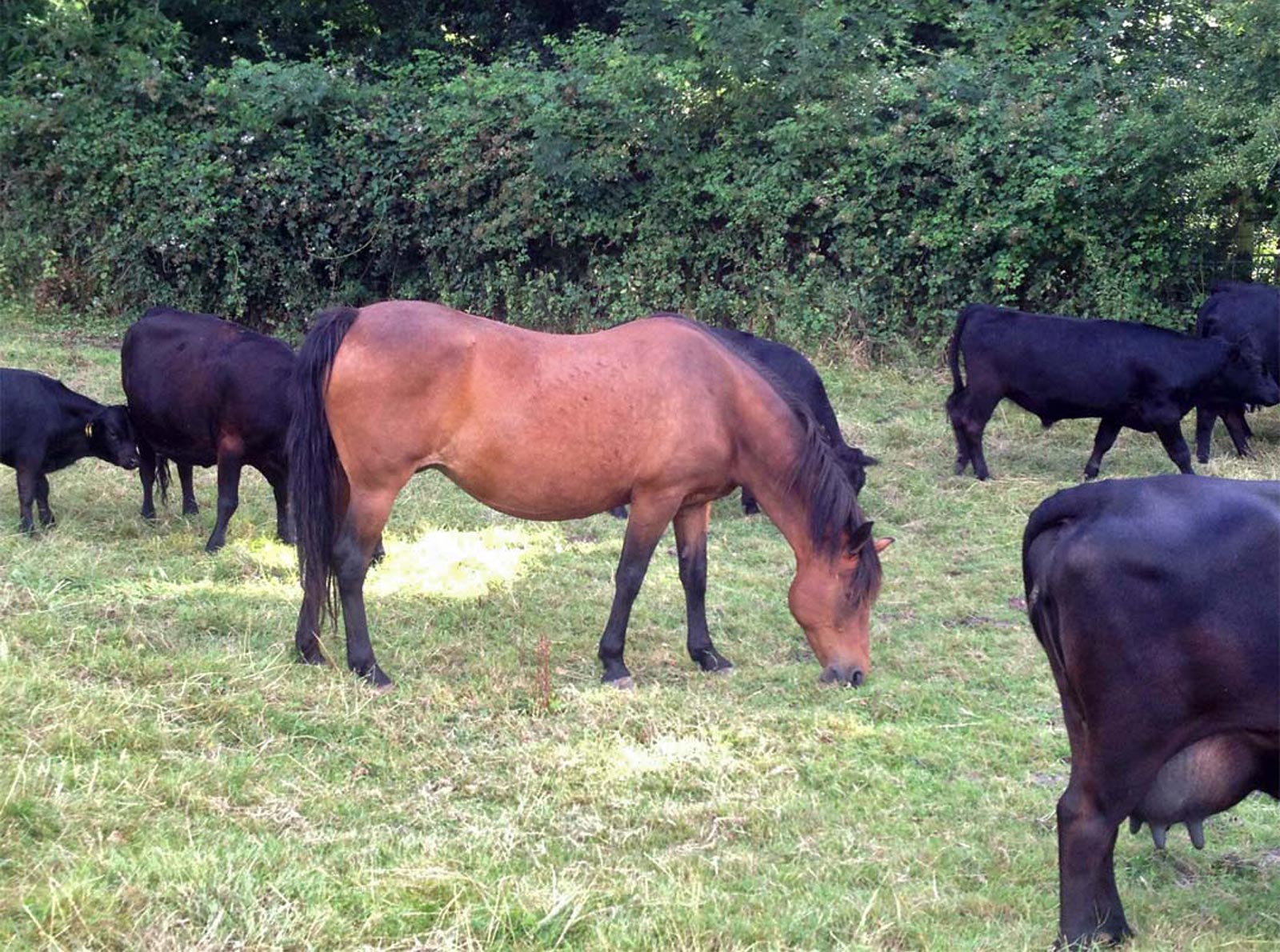 Gallery - Folds Farm