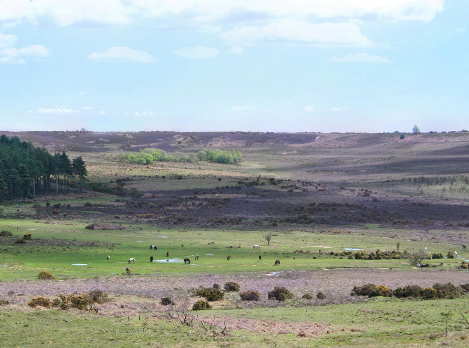 Gallery - Folds Farm