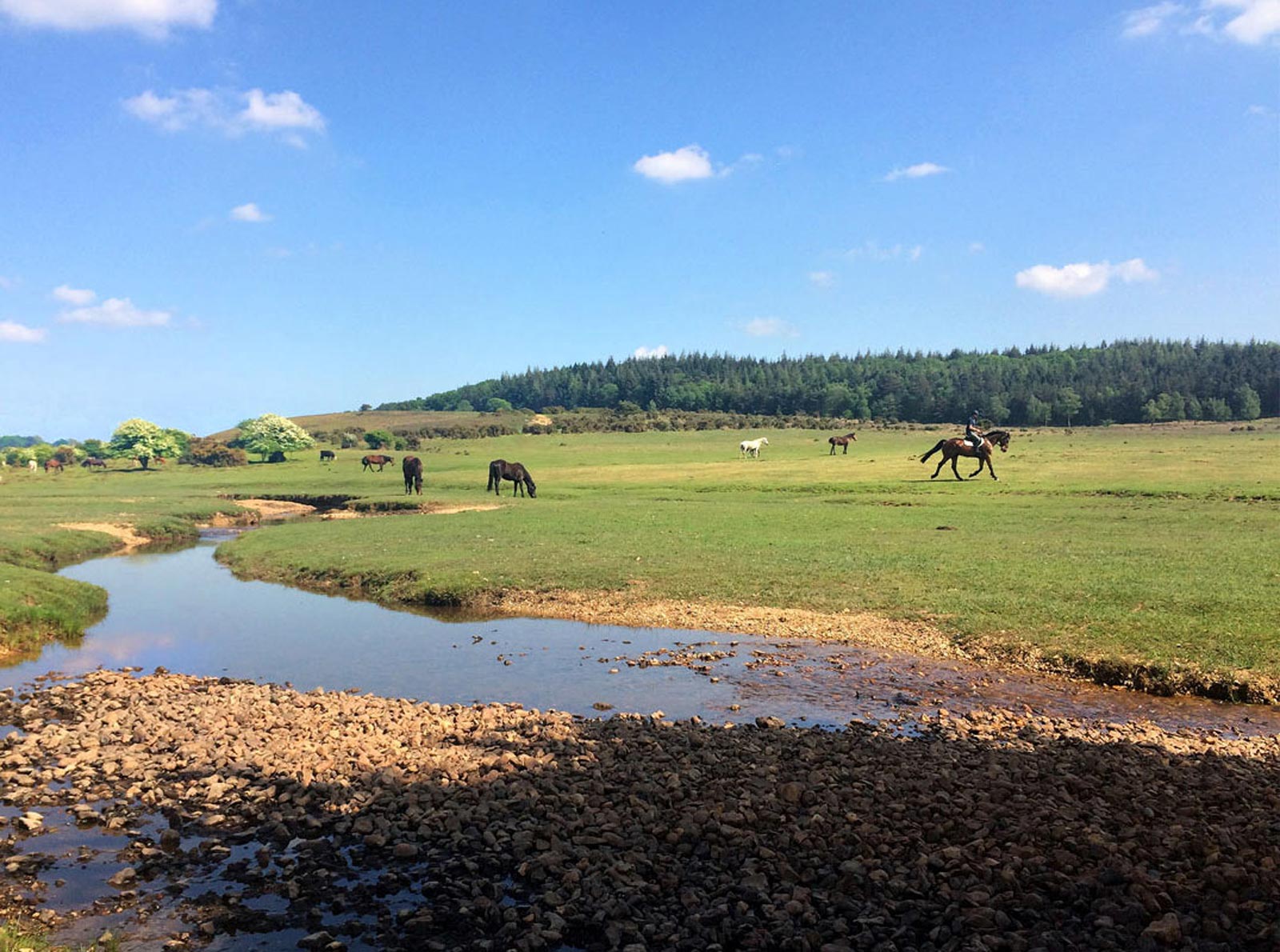 Oliver Cutts Agriculture - Folds Farm