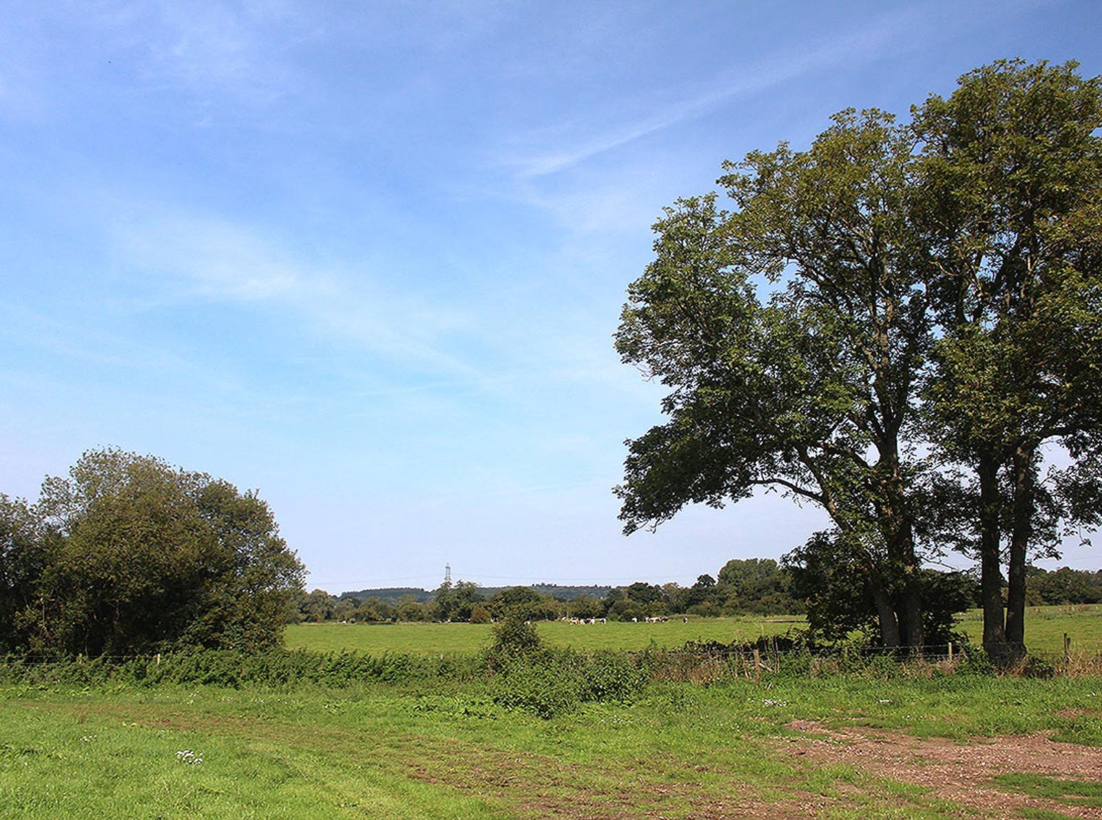 Gallery - Folds Farm