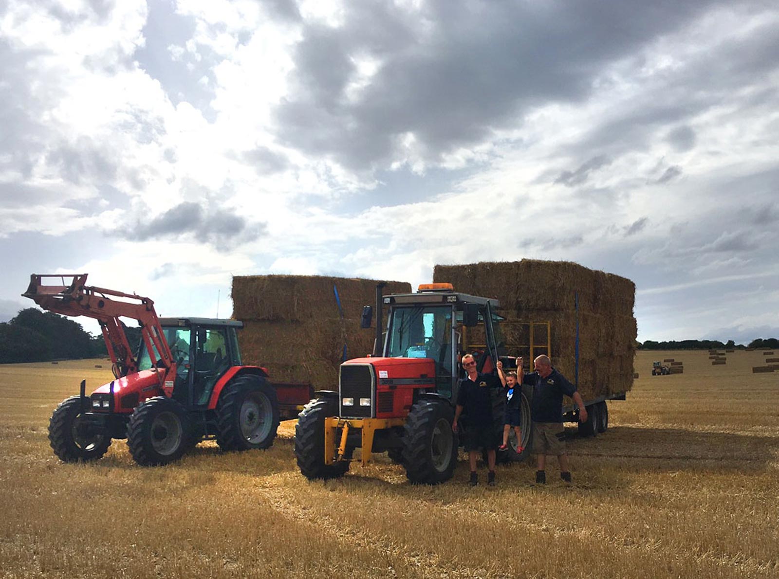 Gallery - Folds Farm