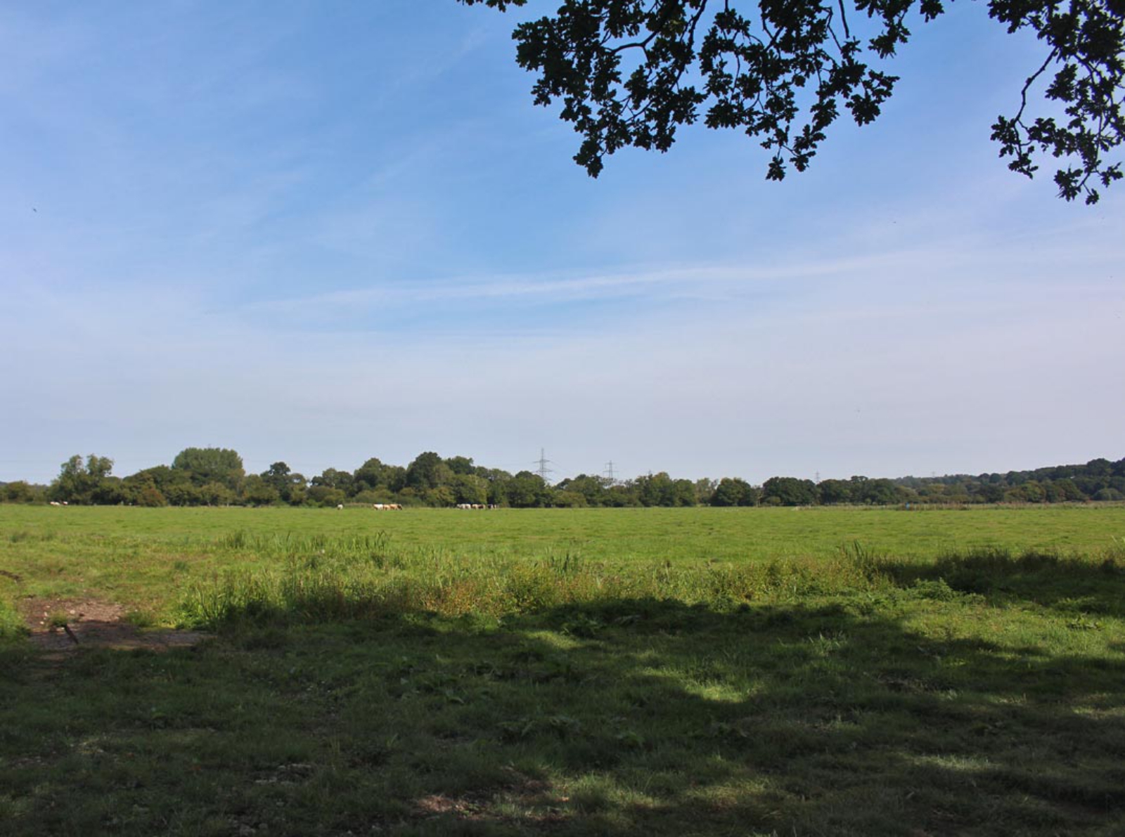 Gallery - Folds Farm