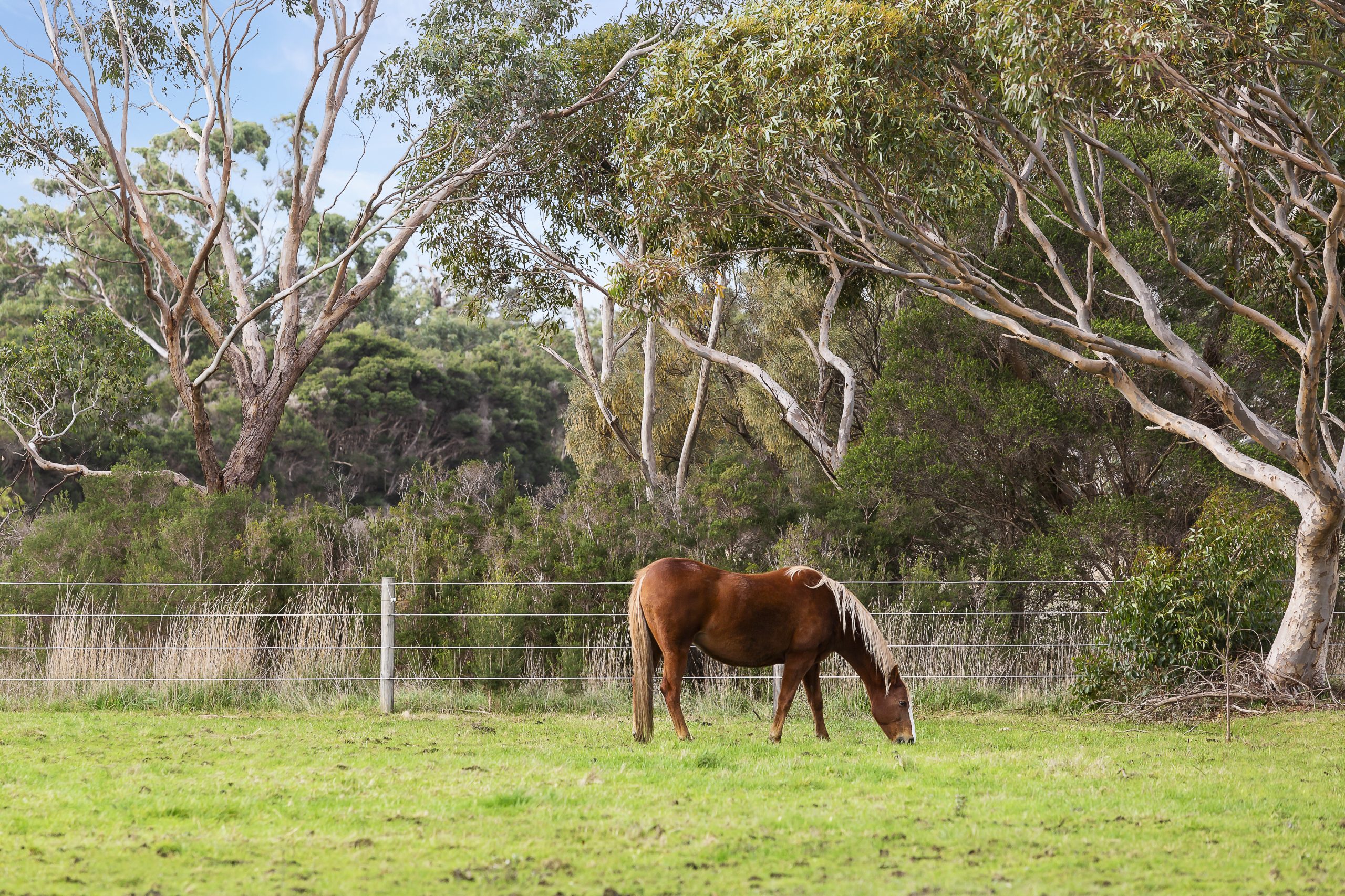 Oliver Cutts Agriculture - Folds Farm