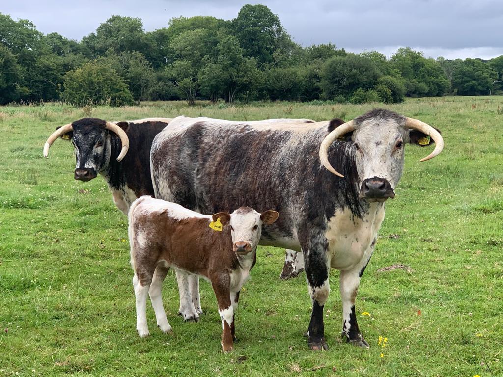 Oliver Cutts Agriculture - Folds Farm